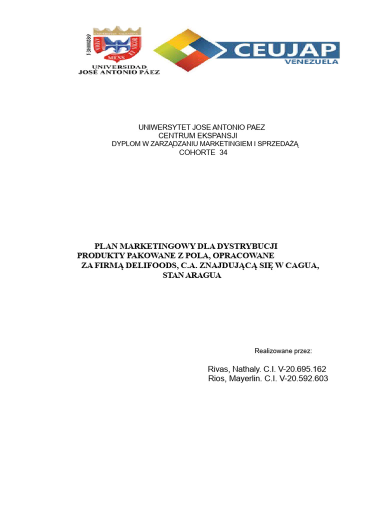 Ifd Plan Marketingowy | PDF