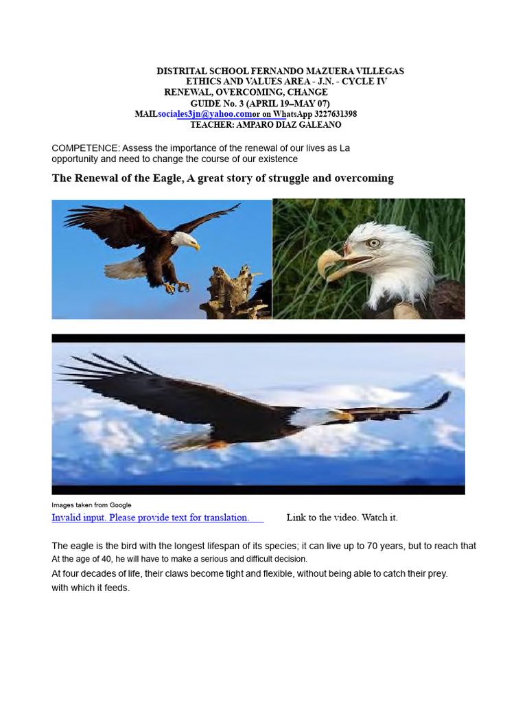 The Renewal of The Eagle | PDF