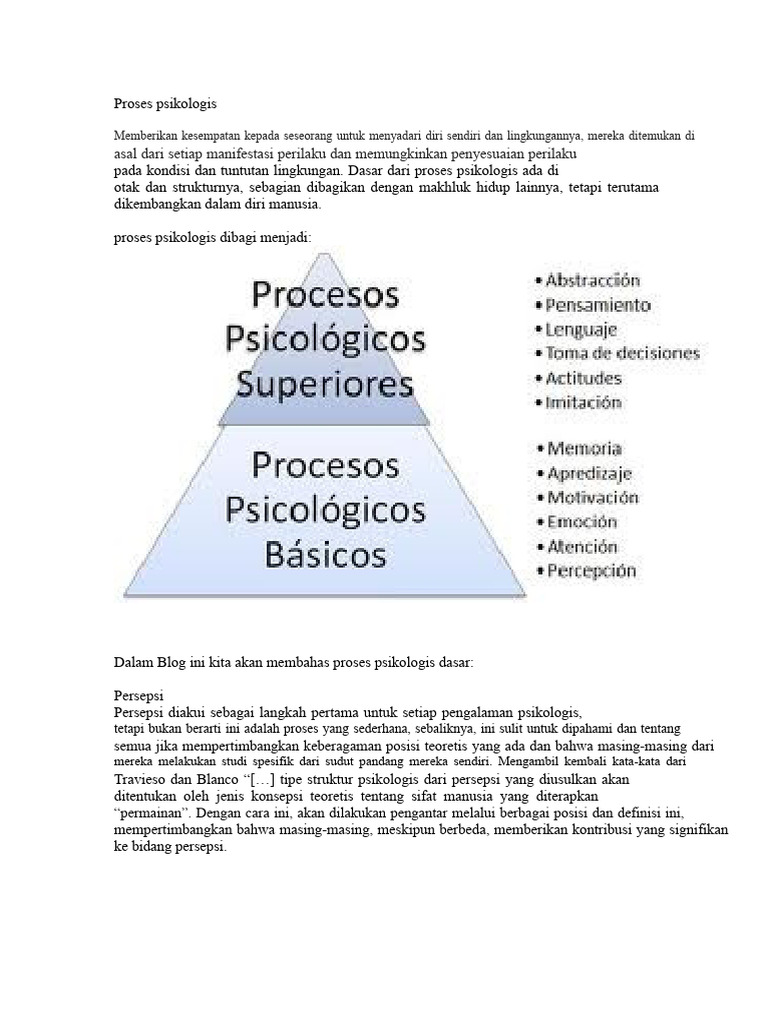 Proses Psikologis: Persepsi dan Perhatian | PDF