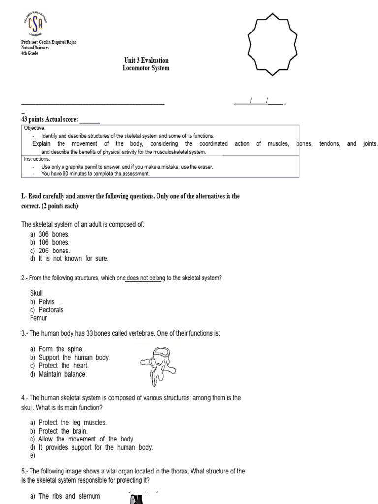 Assessment of The Locomotor System | PDF | Human Musculoskeletal System ...