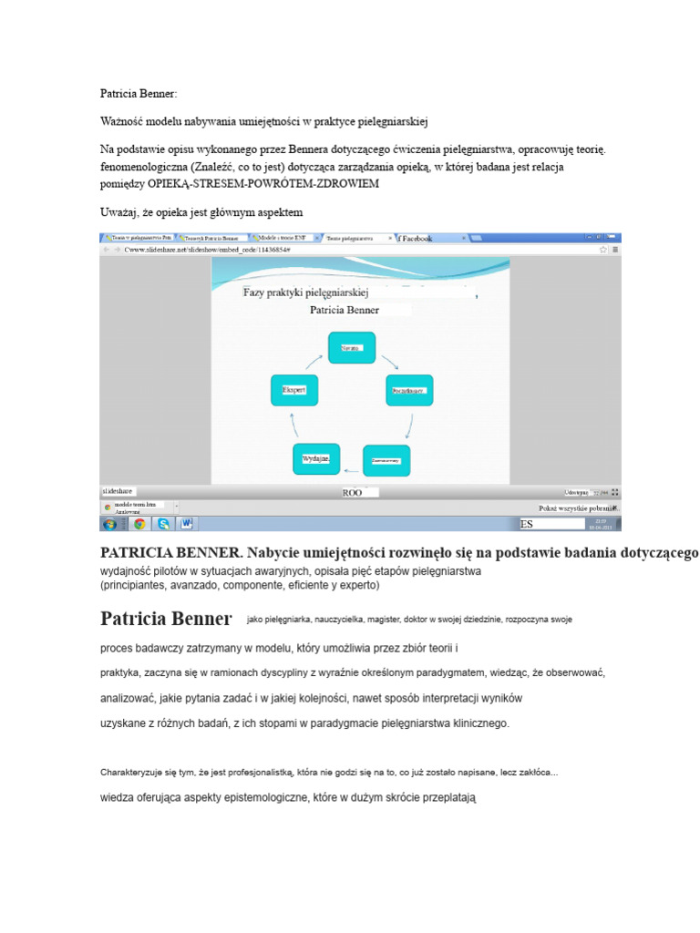 Patricia Benner | PDF