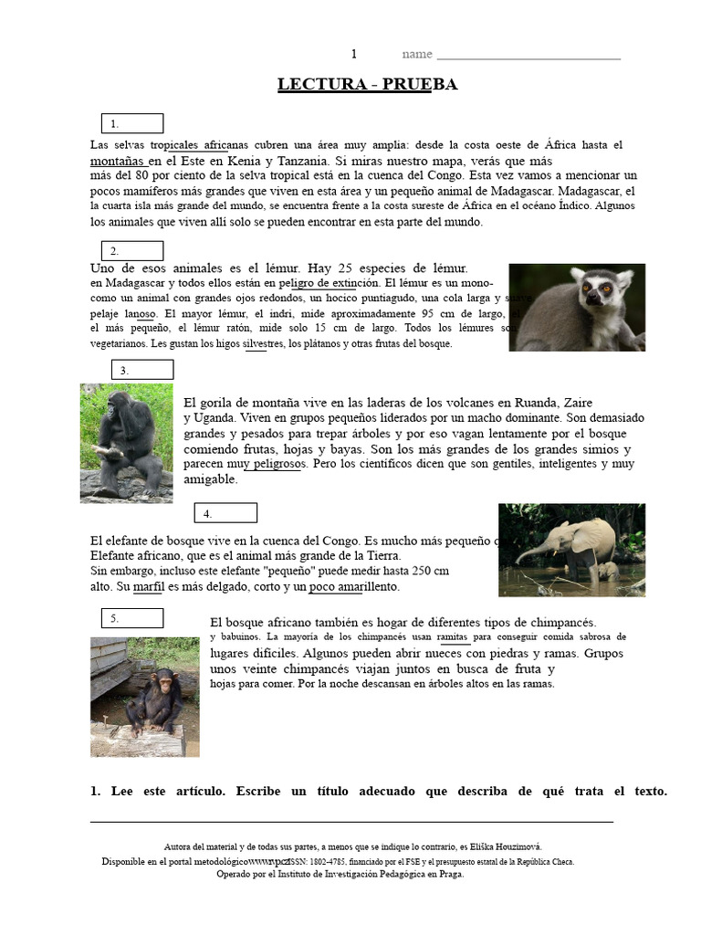 Animales Salvajes Prueba de Comprensión Lectora | PDF | África | Madagascar