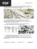 FCD 450-10 Steel Grade Specifications | PDF | Rolling (Metalworking ...