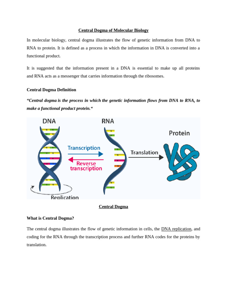 Central Dogma of Molecular Biology | PDF | Genetic Code | Translation ...