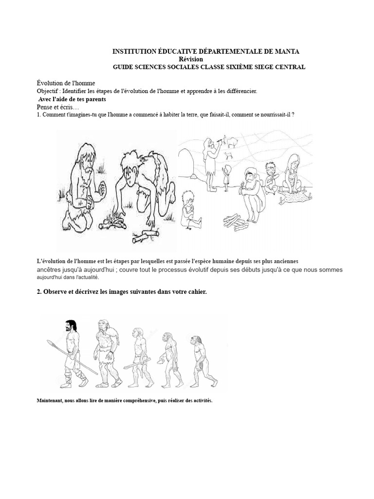 Évolution de l'Homme : Hominidés et Théories | PDF | Humain | Homo