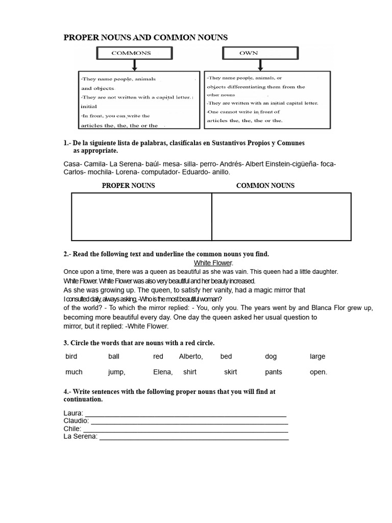 Proper Nouns and Common Nouns Exercises | PDF