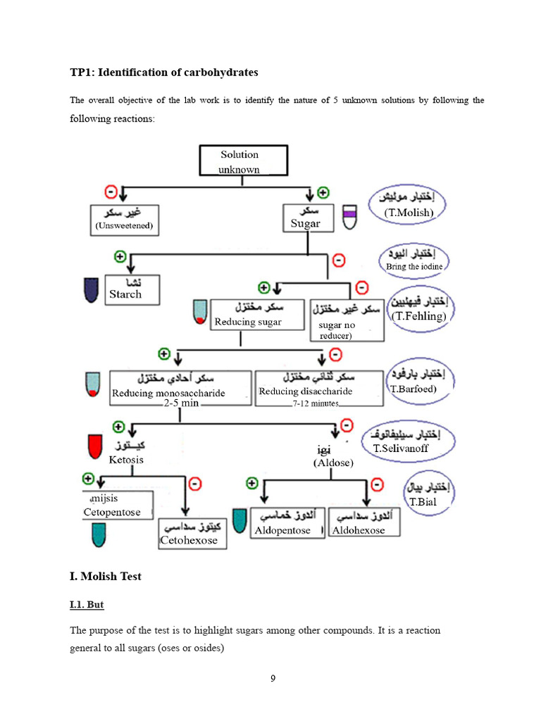 Carbohydrate Identification Tests Guide | PDF | Chemistry | Chemical ...