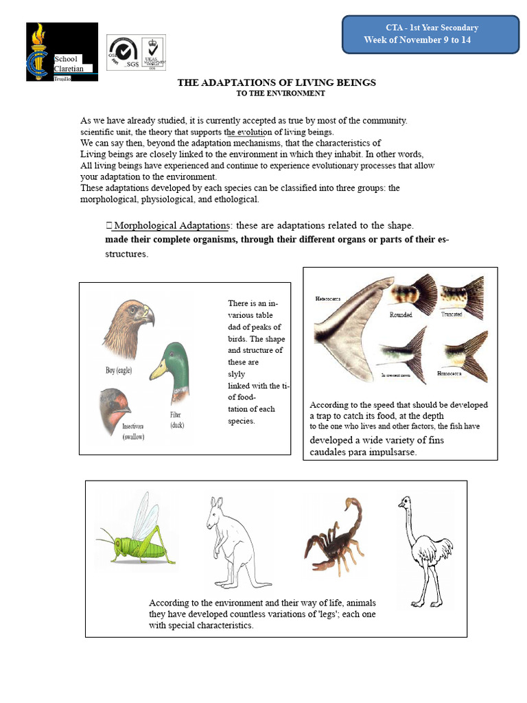 Adaptations of Living Beings | PDF | Adaptation | Evolution