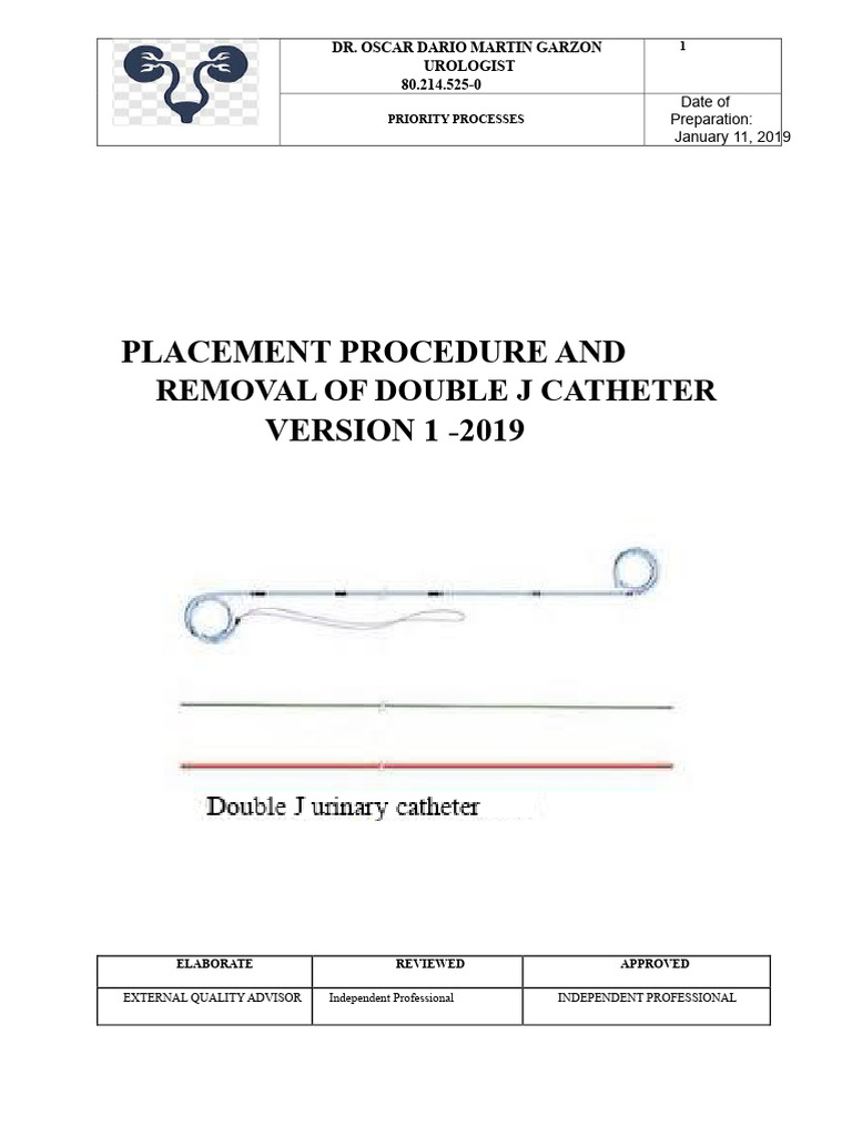 Double J Catheter Placement Guide | PDF | Genitourinary System ...
