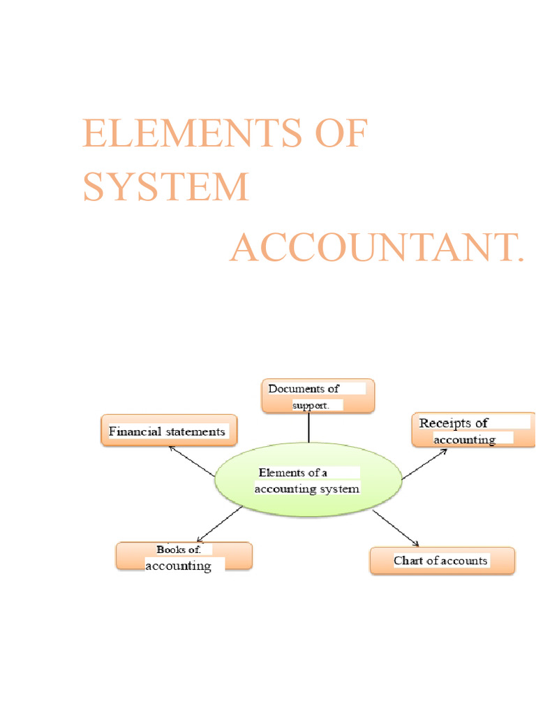 Elements of The Accounting System | PDF