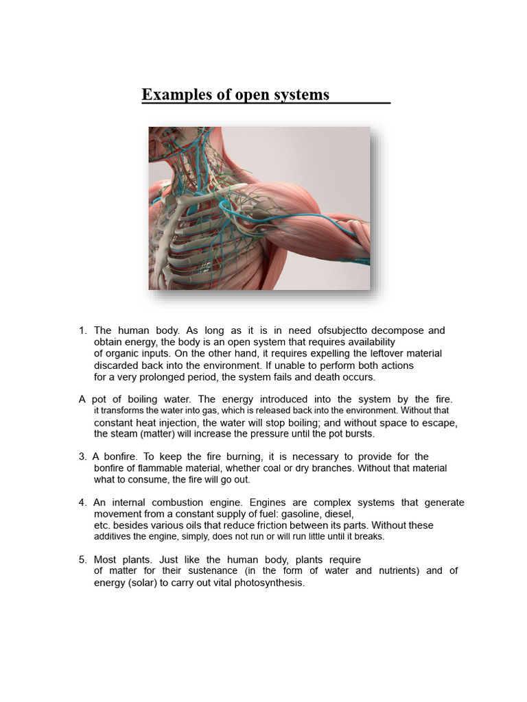 Examples of Open Systems | PDF | Heat | Engines
