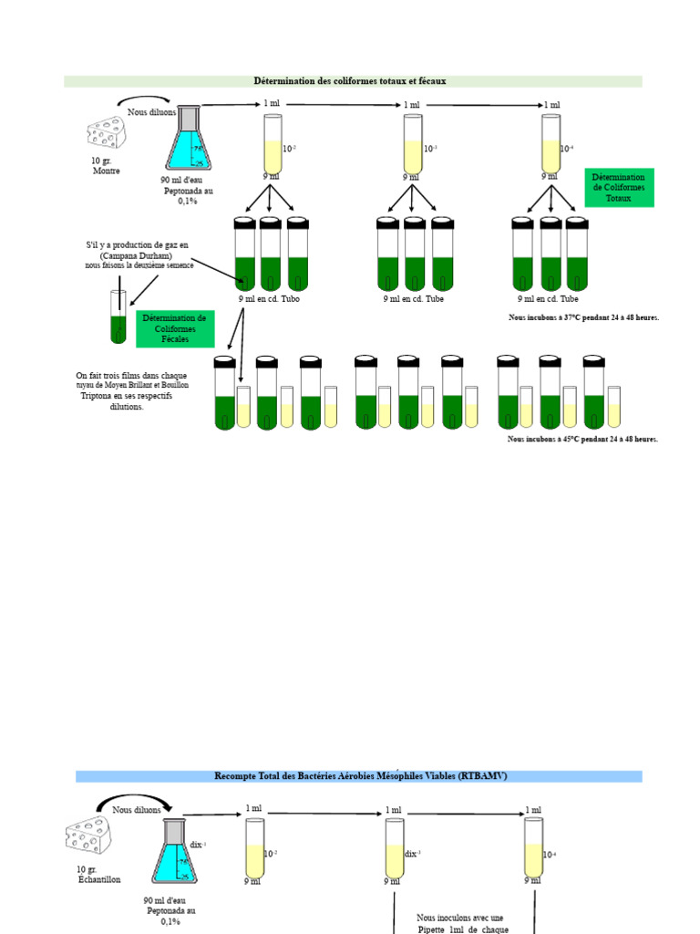 Analyse microbiologique des fromages | PDF | Fromage | Prokaryota