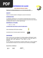 Faire du dentifrice d'éléphant facilement | PDF | Peroxyde d'hydrogène ...