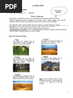 Coral Island Insect Guide | PDF