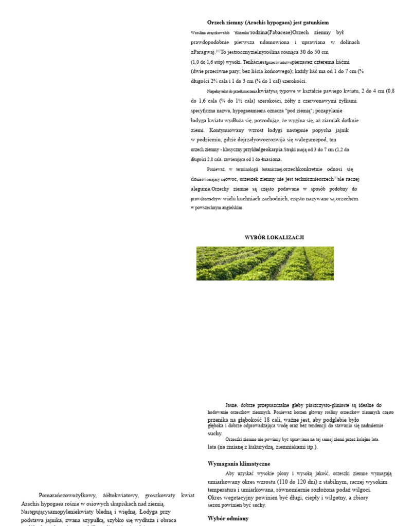 PEANUT | PDF