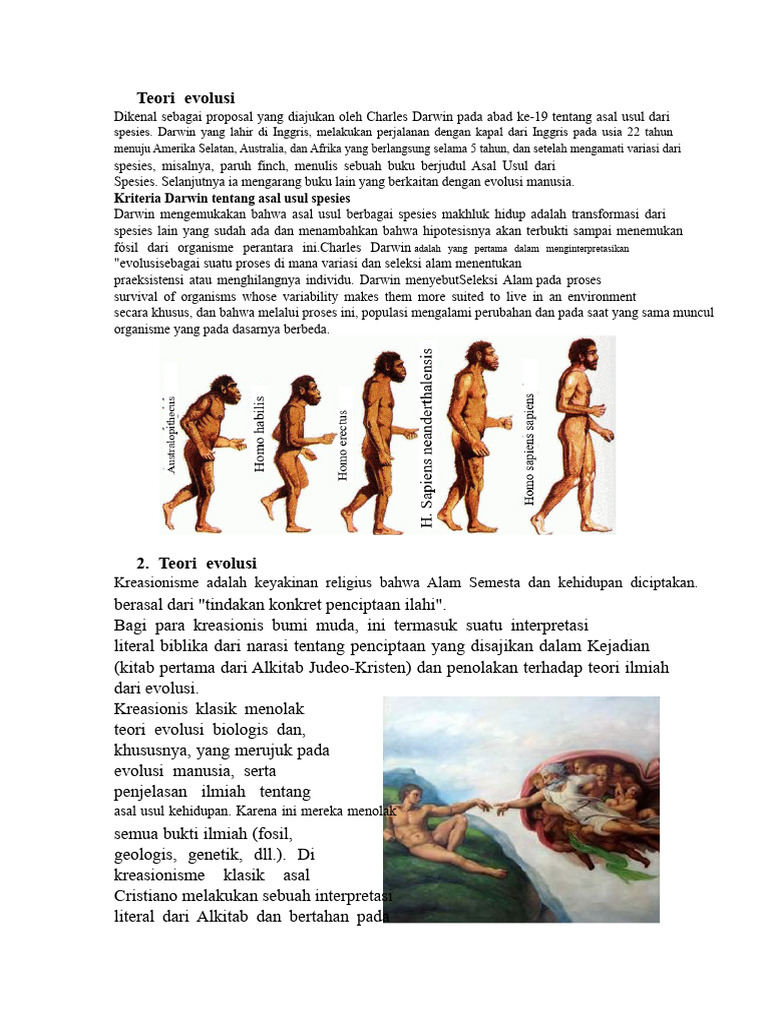 Teori Evolusi dan Kreasionisme | PDF