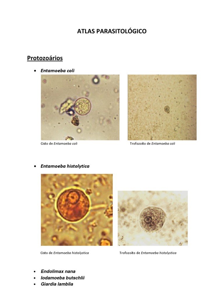 Atlas Parasitológico | PDF
