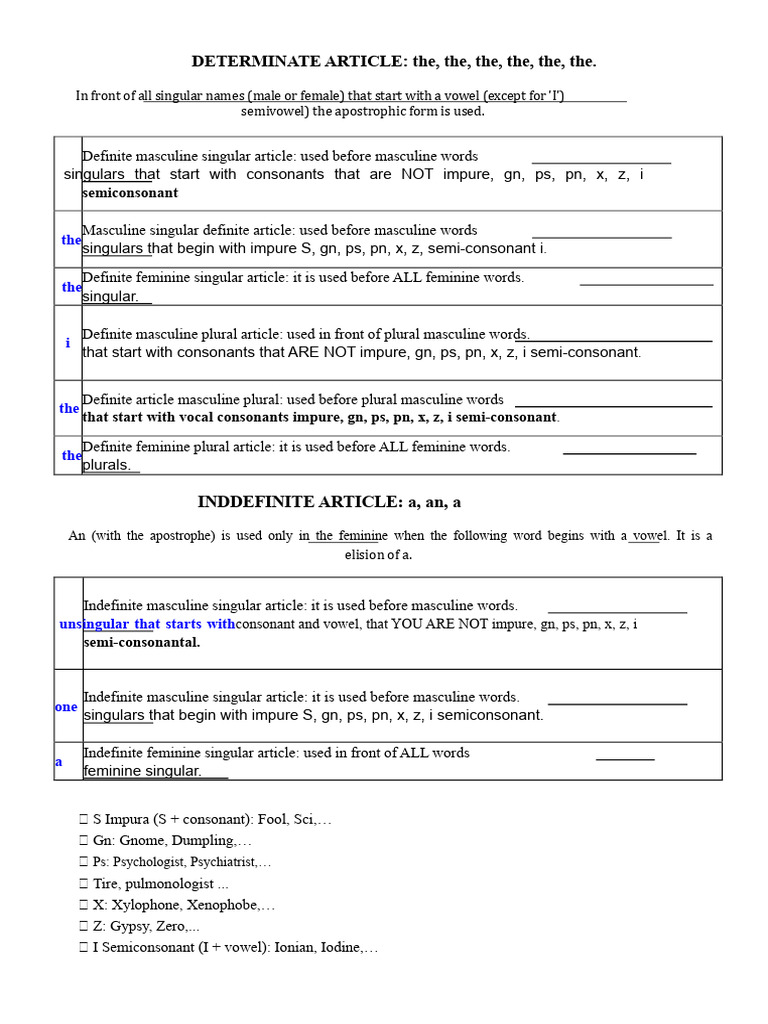 Understanding Definite and Indefinite Articles | PDF | Grammatical ...