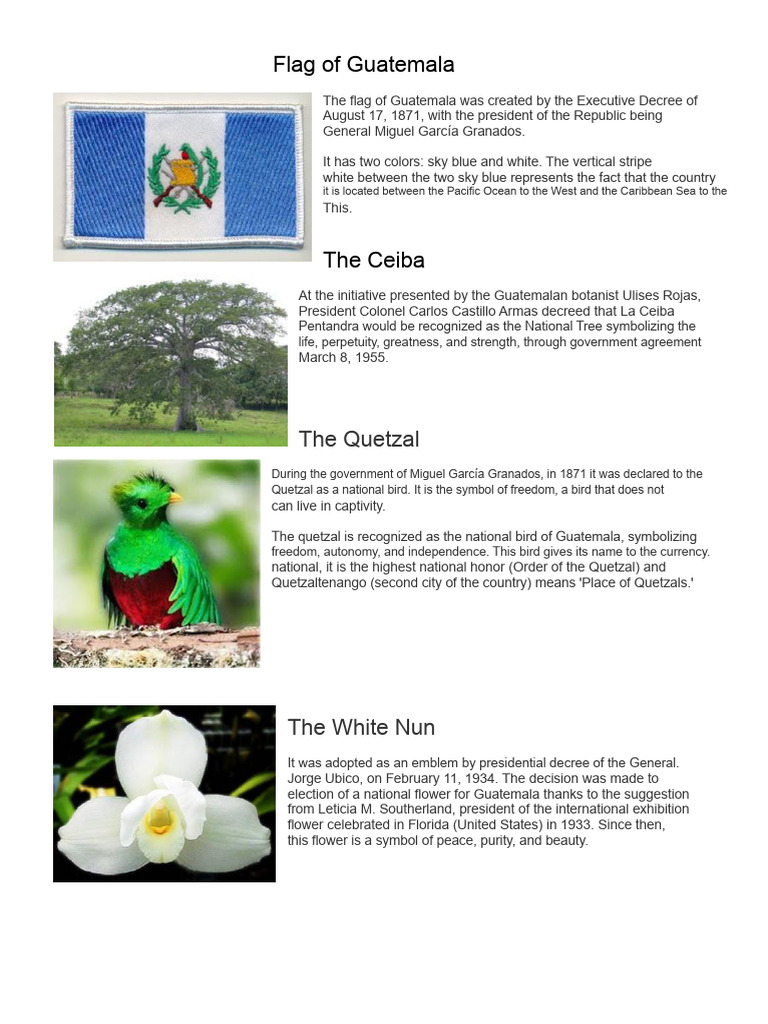 Guatemala's National Symbols Explained | PDF | Guatemala