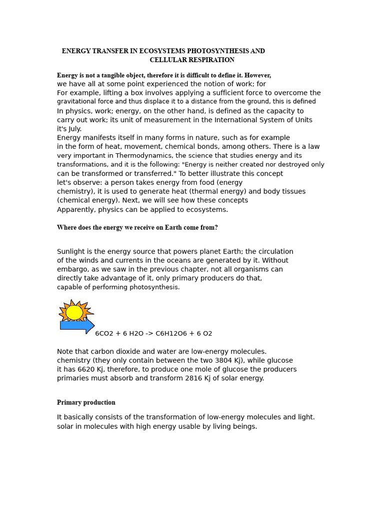 Energy Transfer in Ecosystems: Photosynthesis and Cellular Respiration ...