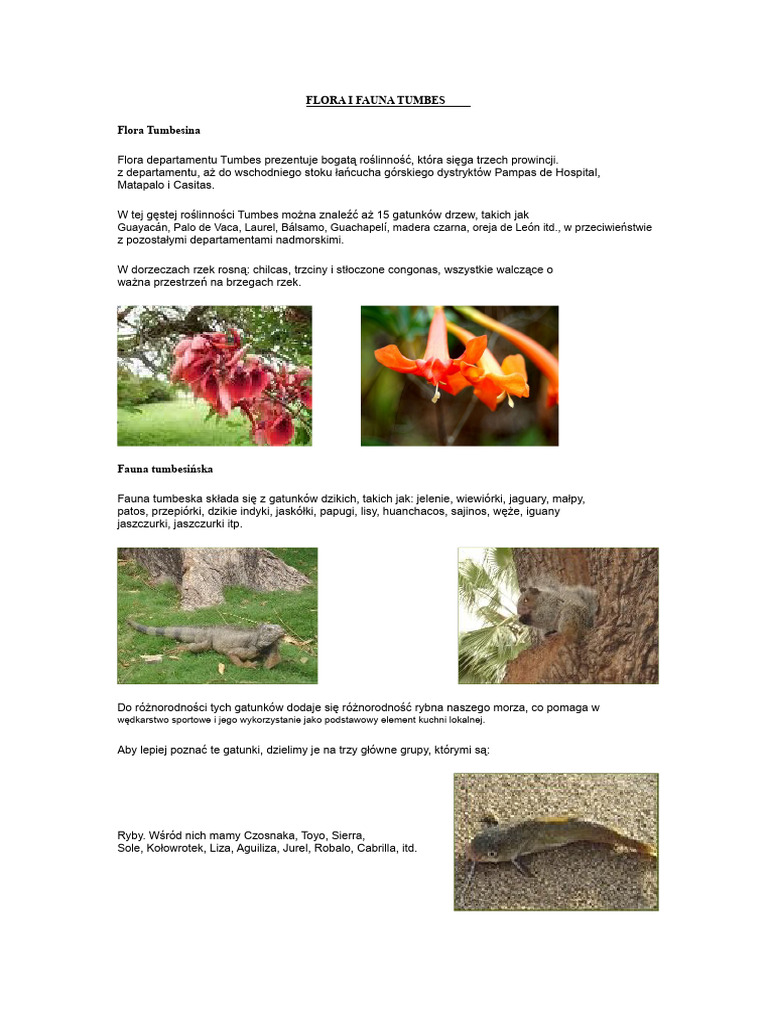 Flora I Fauna Tumbes | PDF