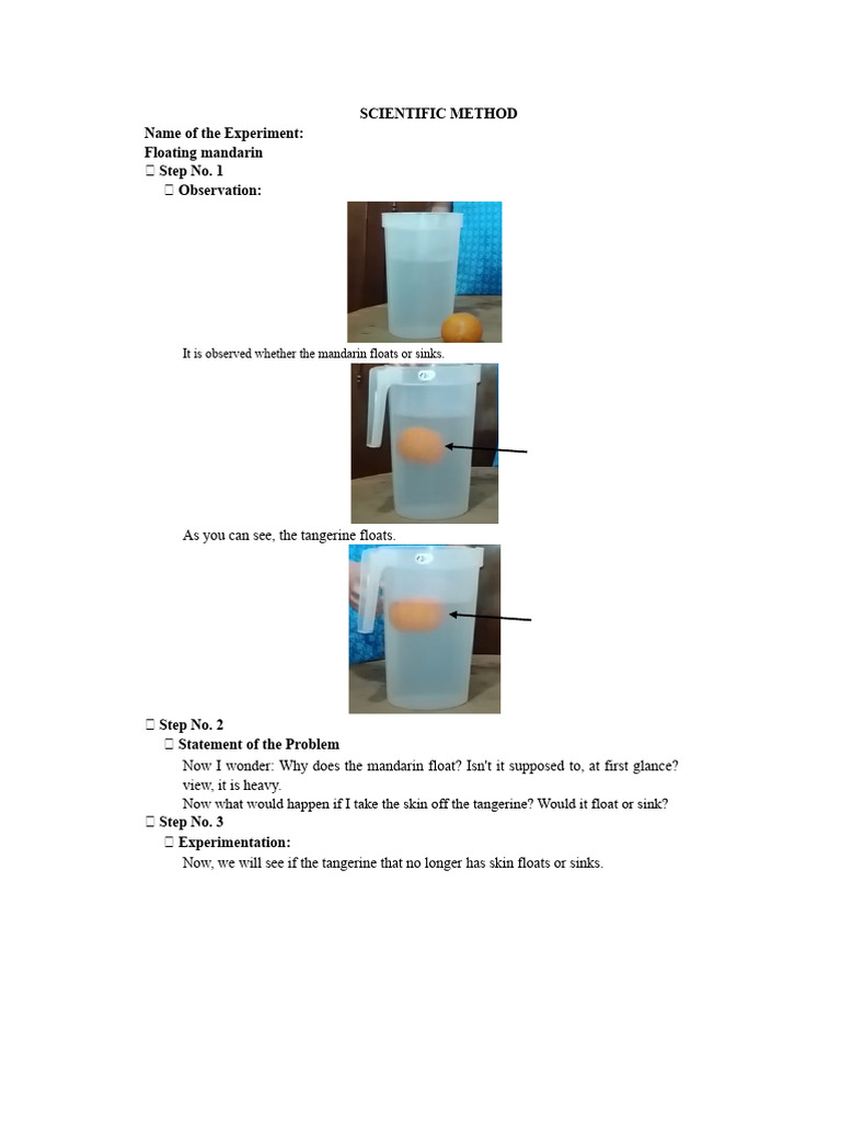 Scientific Method | PDF