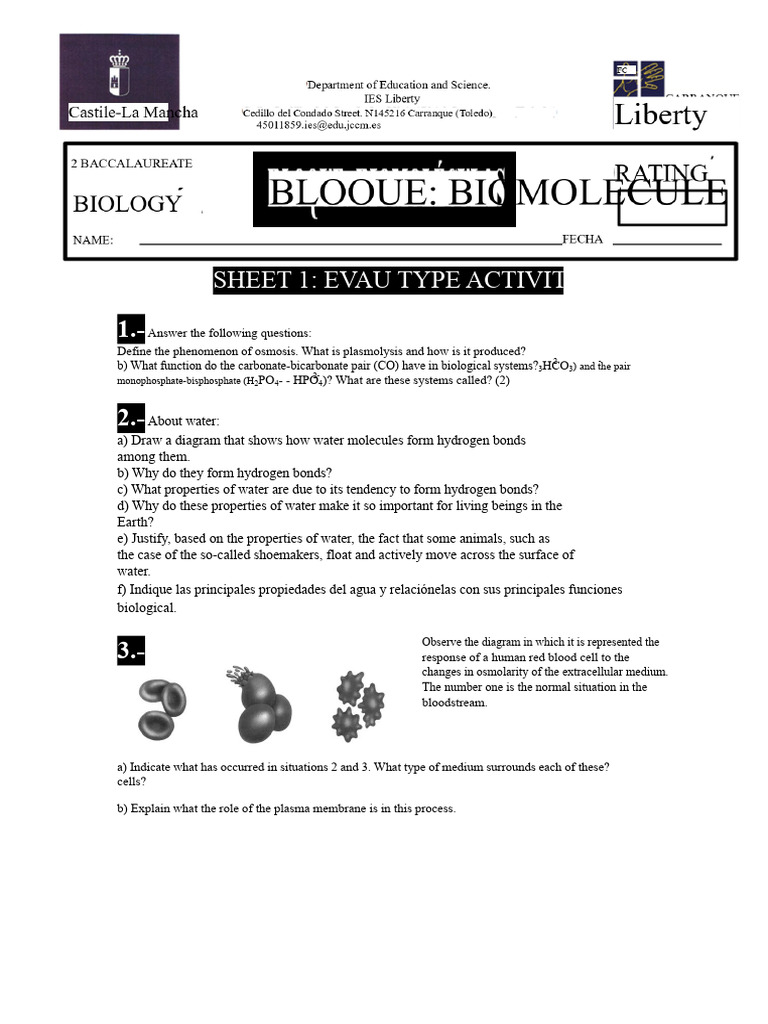 Evau Activities Block 1 Biomolecules Pdf Proteins Biomolecules