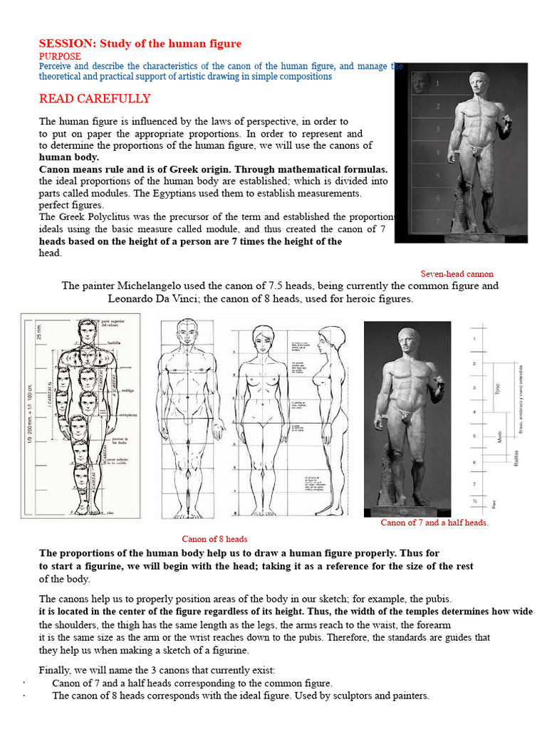 Class Study of The Human Figure | PDF | Perspective (Graphical)