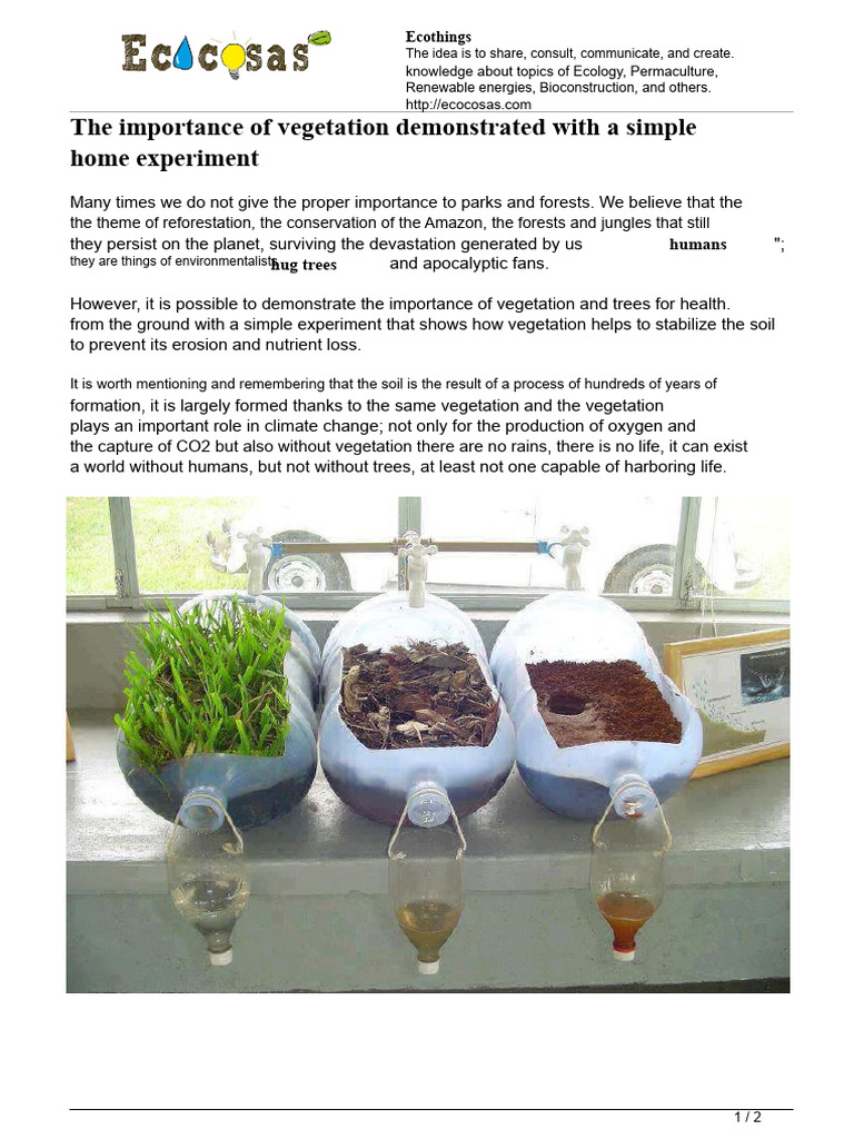 Importance of Vegetation Experiment | PDF | Soil | Erosion