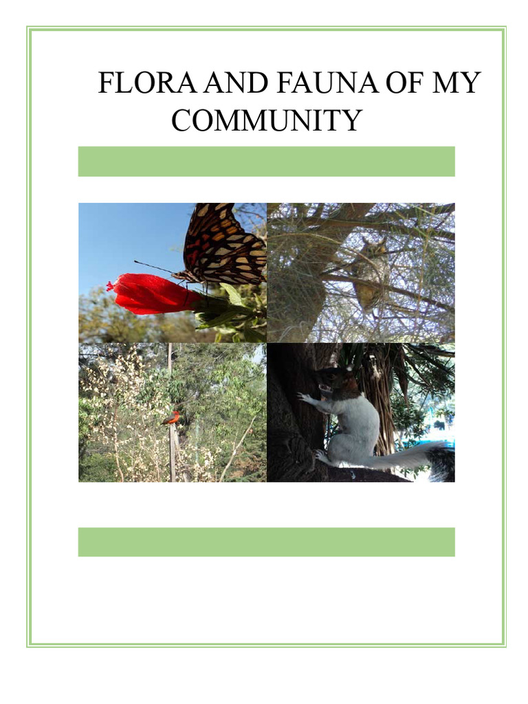 Flora and Fauna of My Community | PDF | Insects | Trees