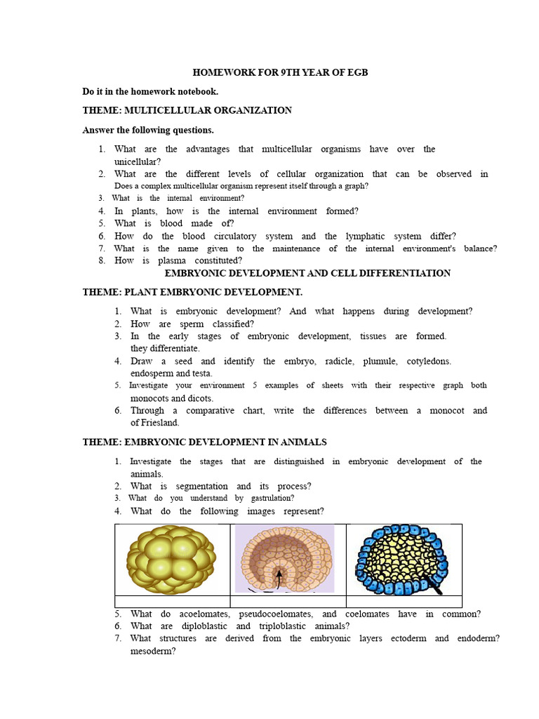 9th Grade Homework | PDF