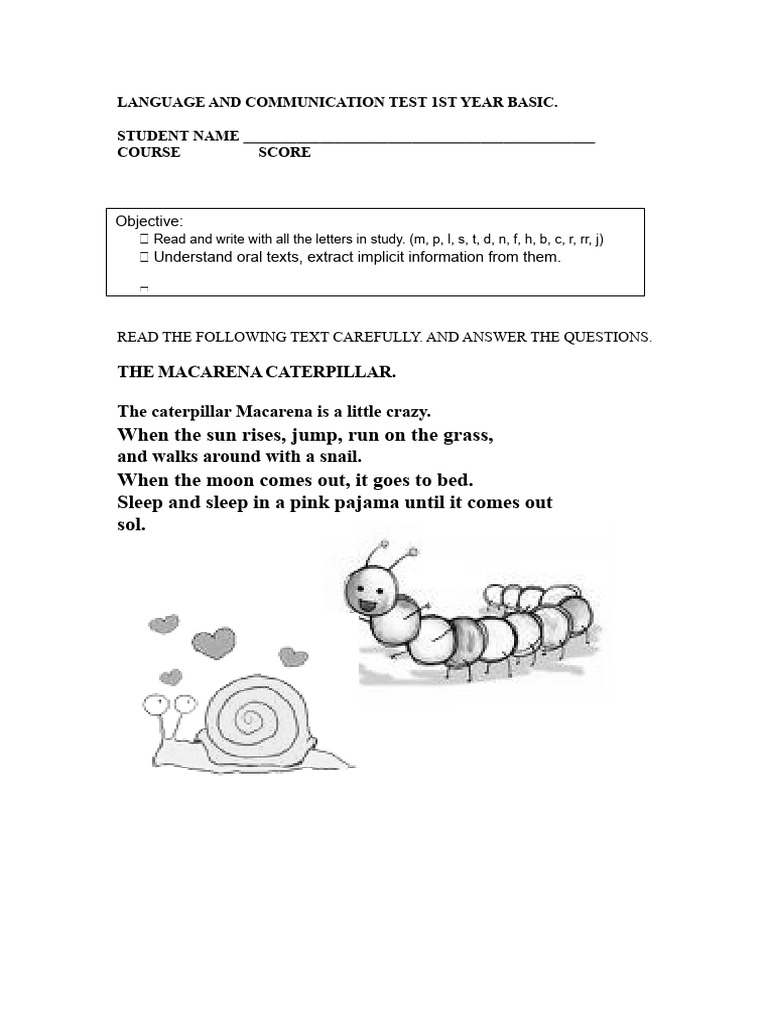 Test Language and Communication 1ST Year Basic | PDF