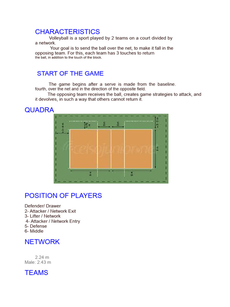 Basic Volleyball Theory | PDF | Volleyball | Sports