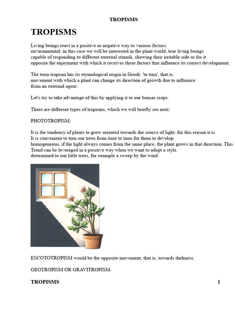 Tropisms in Plants | PDF | Plants | Branches Of Botany