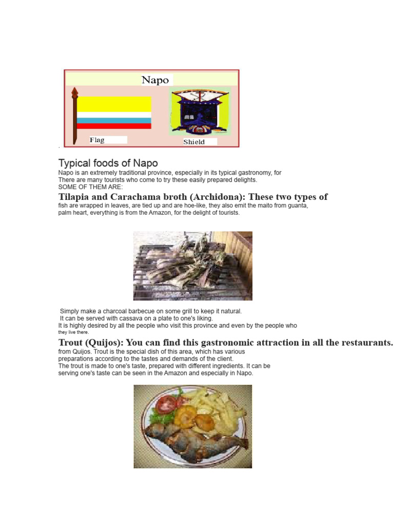 Typical Foods of Napo | PDF | Food And Drink | Western Cuisine