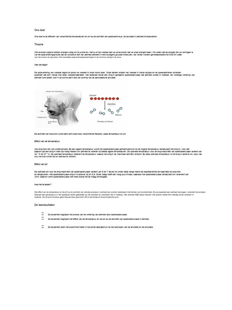 Theorie Van de Werking Van Speekselamylase Op Zetmeel (Station #2) | PDF