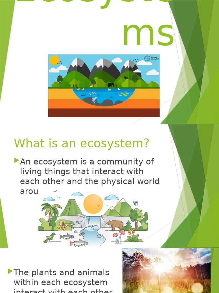 Ecosystems | PDF