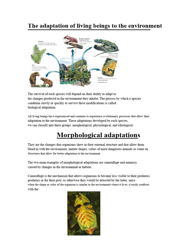 The Adaptation of Living Beings To The Environment | PDF