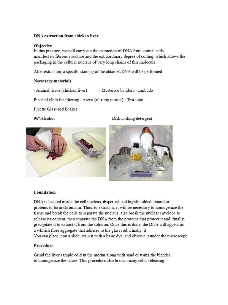 DNA Extraction from Chicken Liver | PDF | Cell Nucleus | Dna