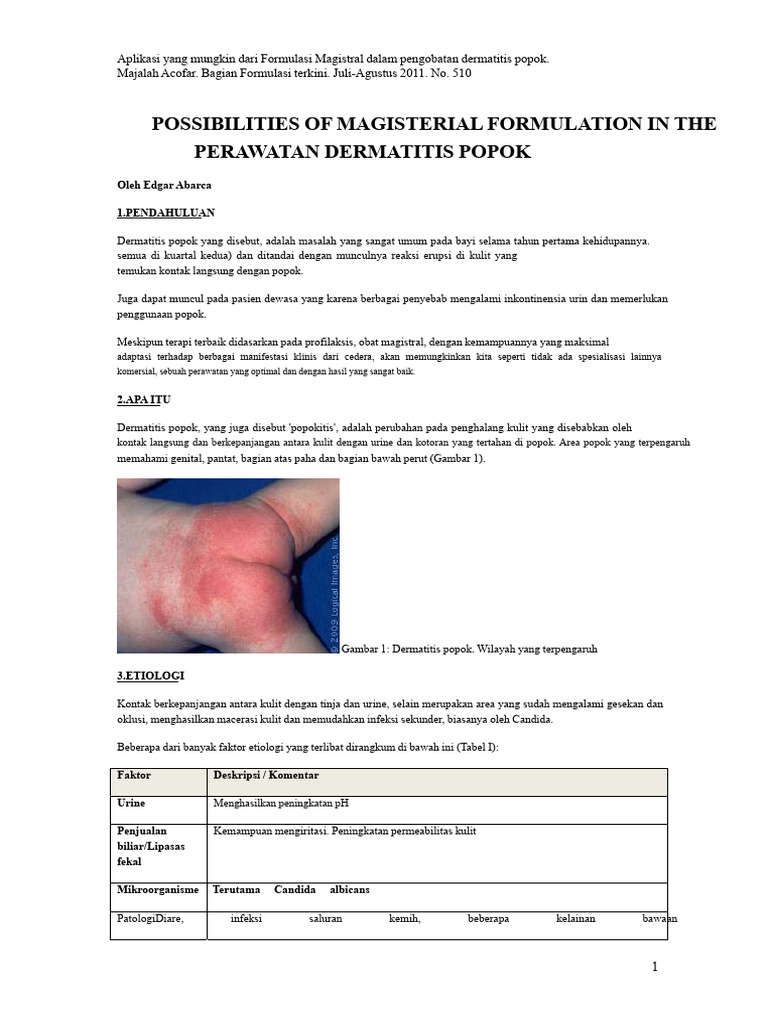 3 Dermatitis Popok | PDF