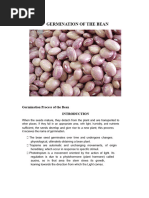 Mung Bean Germination: 7-Day Study | PDF | Seedling | Seed