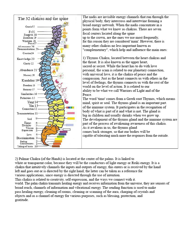 The 32 Chakras and The Spine | PDF | Chakra | Pain