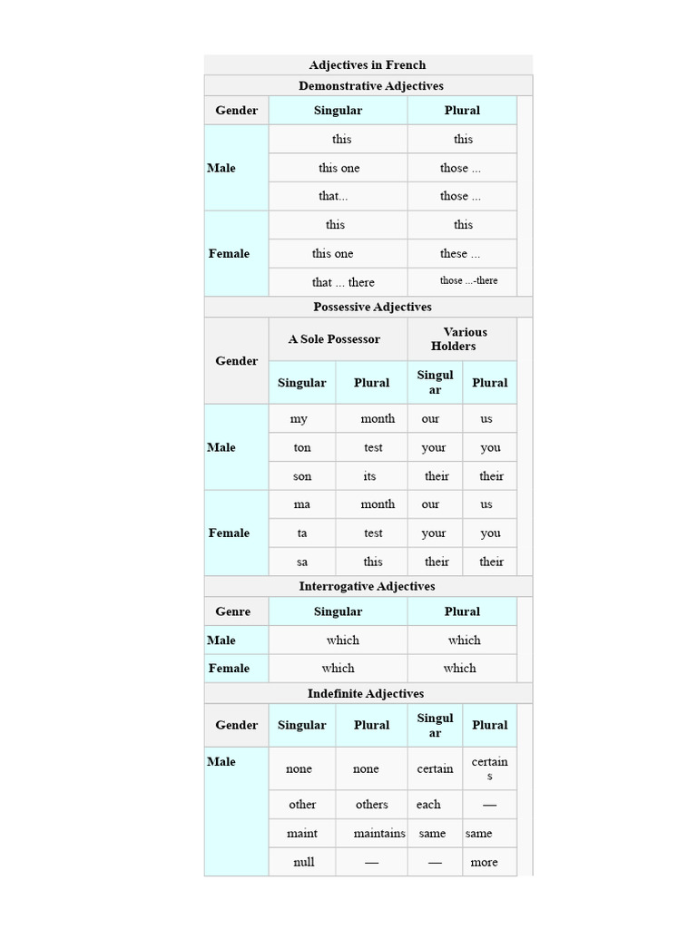 Adjectives in French | PDF | Grammatical Gender | Plural