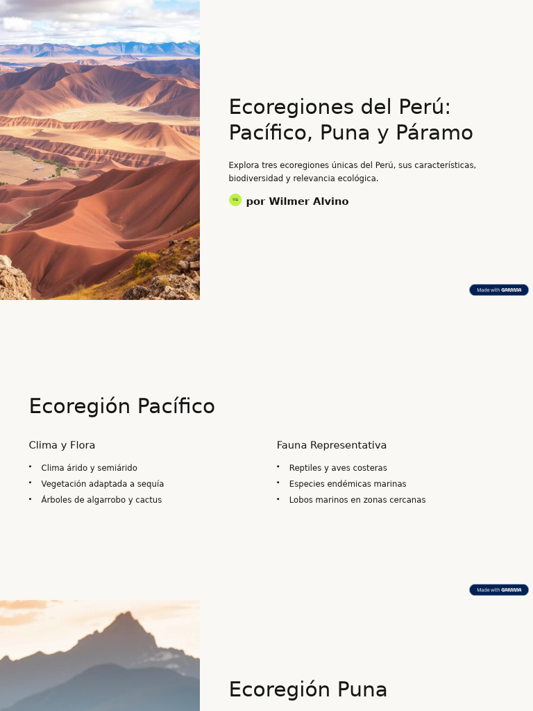 Ecoregiones Del Peru Pacifico Puna y Paramo | PDF