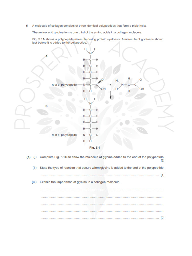 Biological Molecules Worksheet | PDF | Triglyceride | Fatty Acid