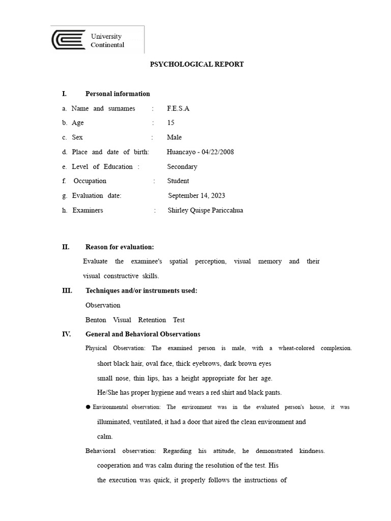 Psychological Evaluation Report: Visual Skills | PDF | Attention | Memory