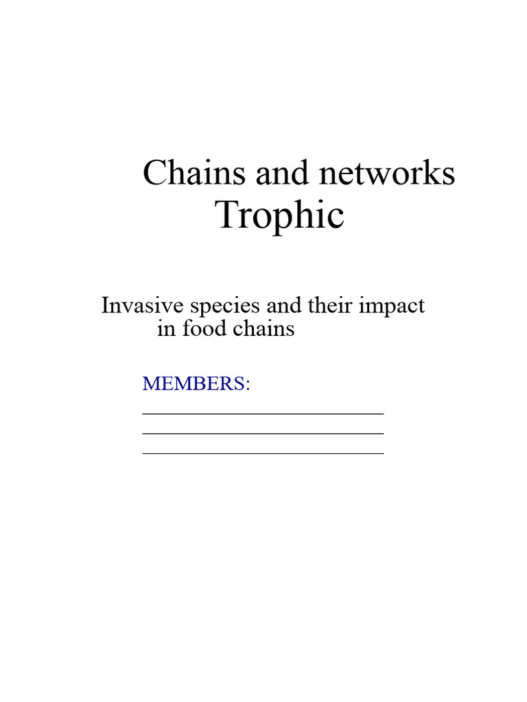 Food Chains Exercises | PDF | Food Web | Ecology