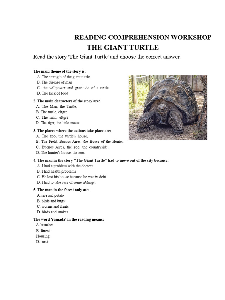 Reading Comprehension About The Giant Turtle | PDF