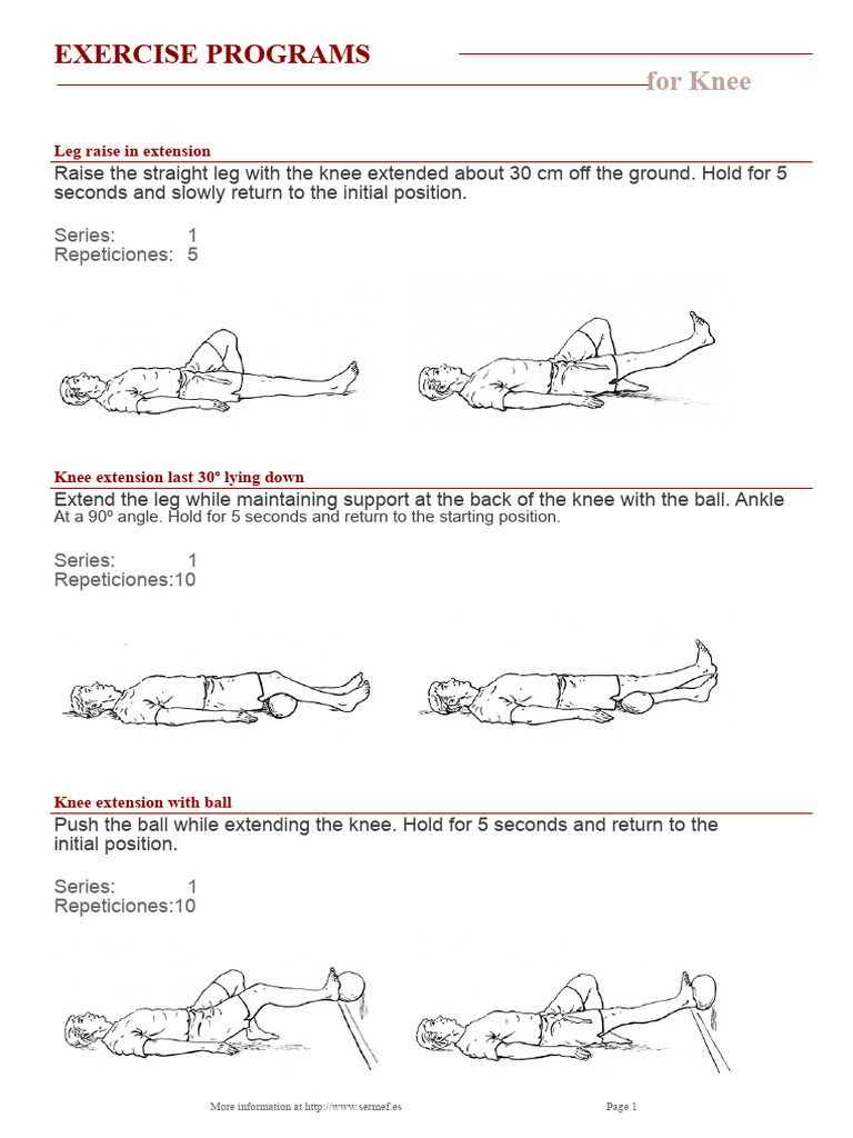 Knee Exercises PDF | PDF