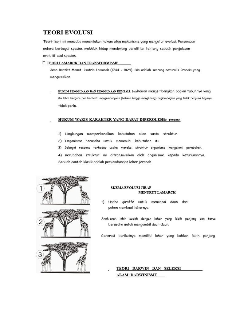 TEORI EVOLUSI Lamarck Darwin | PDF